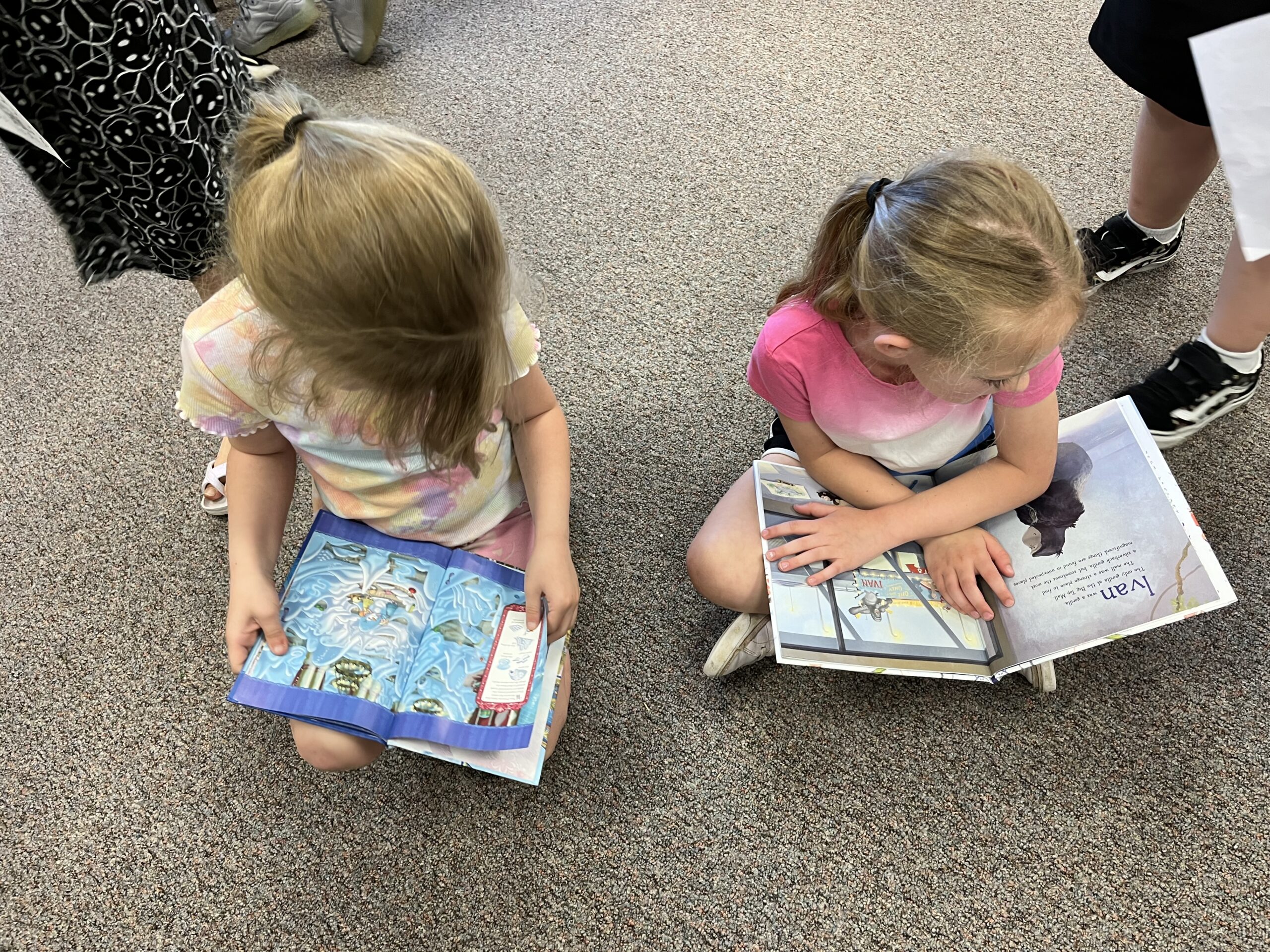 Free books available at Christmas walk | News, Sports, Jobs - Times ...